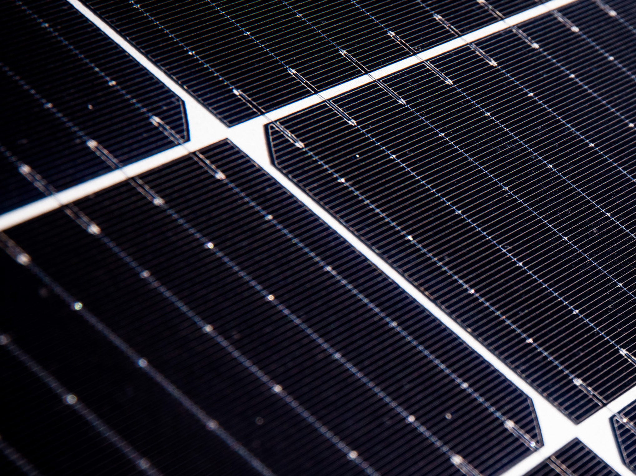 Vision | Elemental Energy