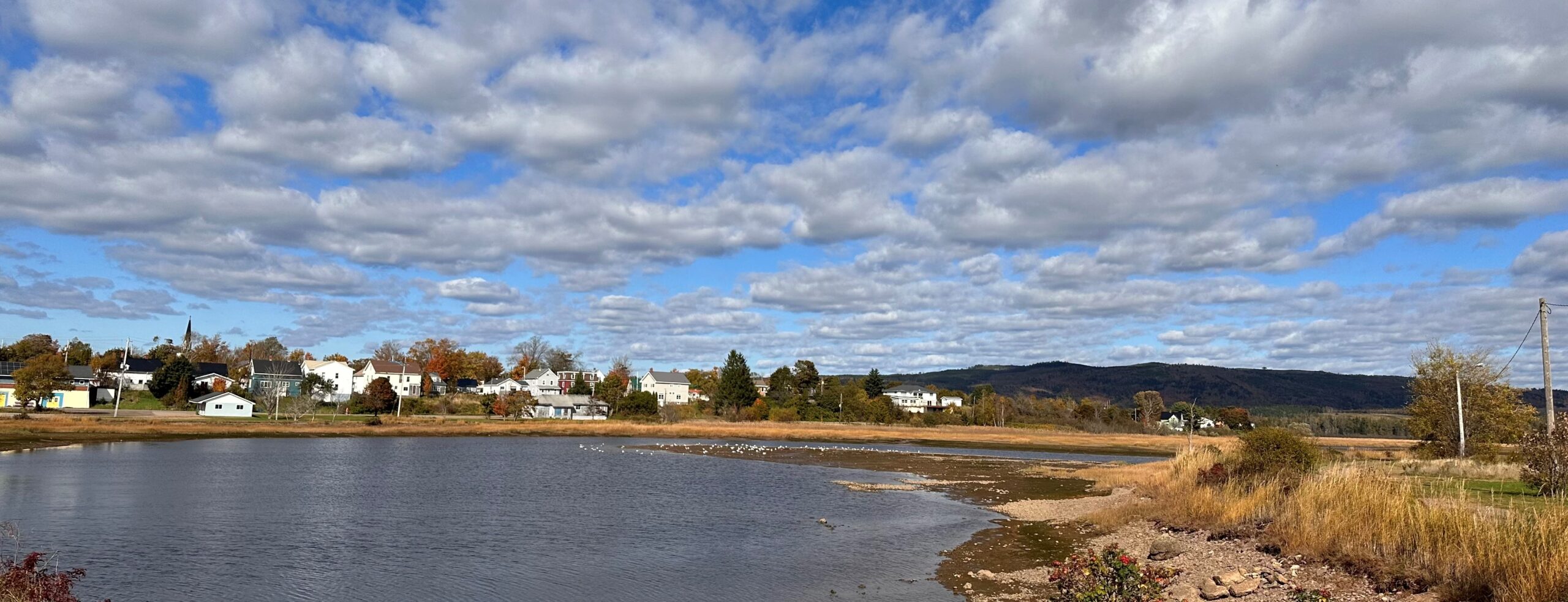 New Prospect Wind | Elemental Energy